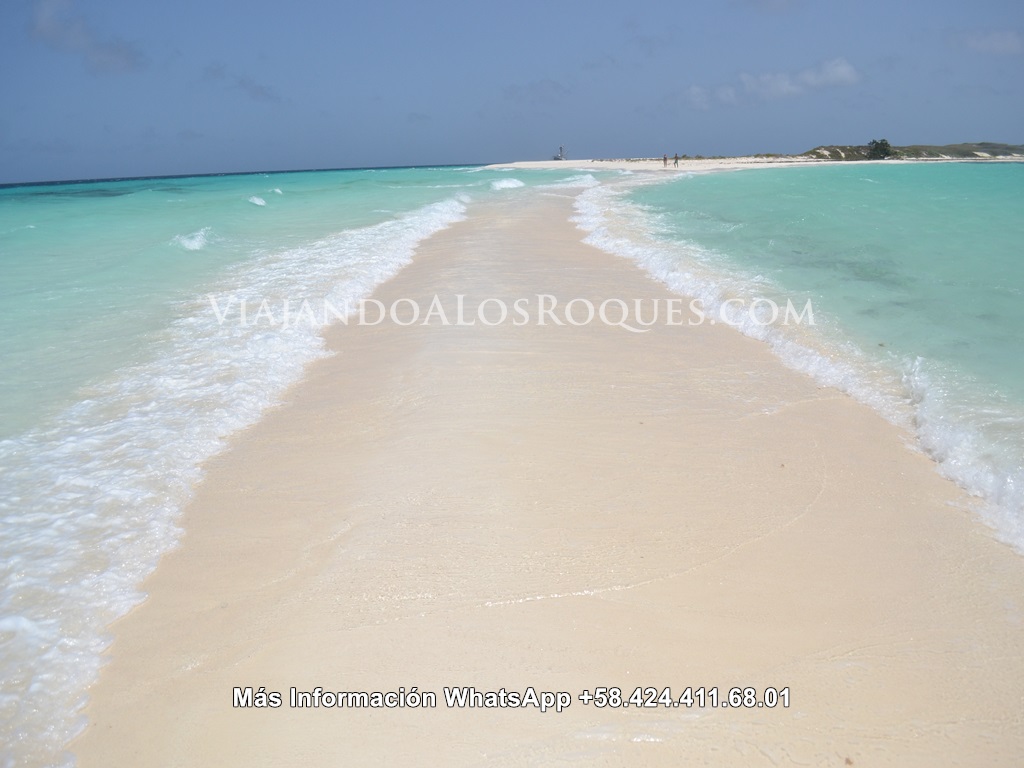 Un paraíso de arena blanca: Al llegar a Cayo de Agua, te deslumbrará la ...